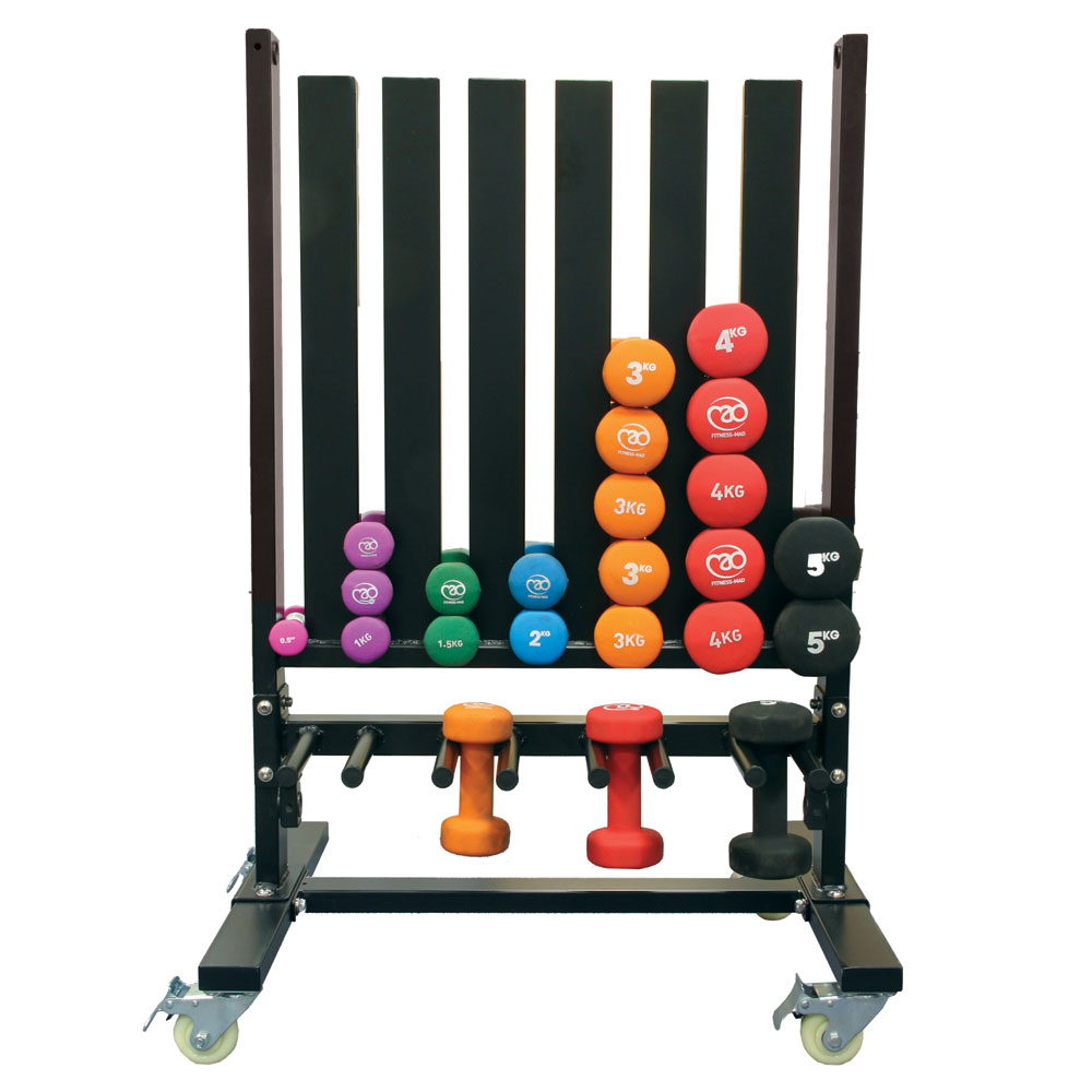 Studio Dumbbell Rack – Serious Fitness Limited